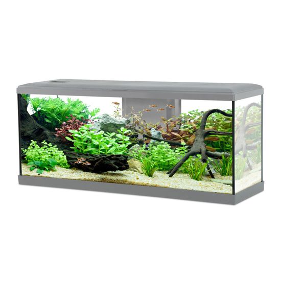 Aquarium poisson Tana LED 100cm gris - Zolux Gris - Cdiscount Animalerie