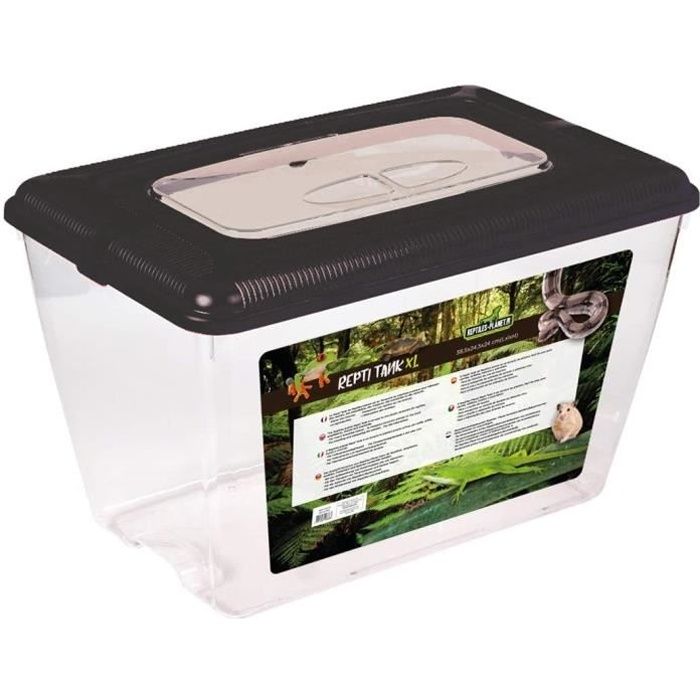 Kit avec Terrarium Insecte en Plastique pour Phasme 38 x 23,5 x 26 cm Taille XL-Tall 335 ...