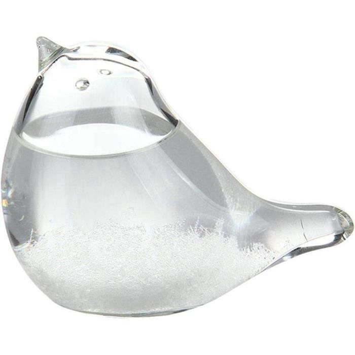 Storm Glass Weather Forecaster Weather Station, Fashion Creative ...