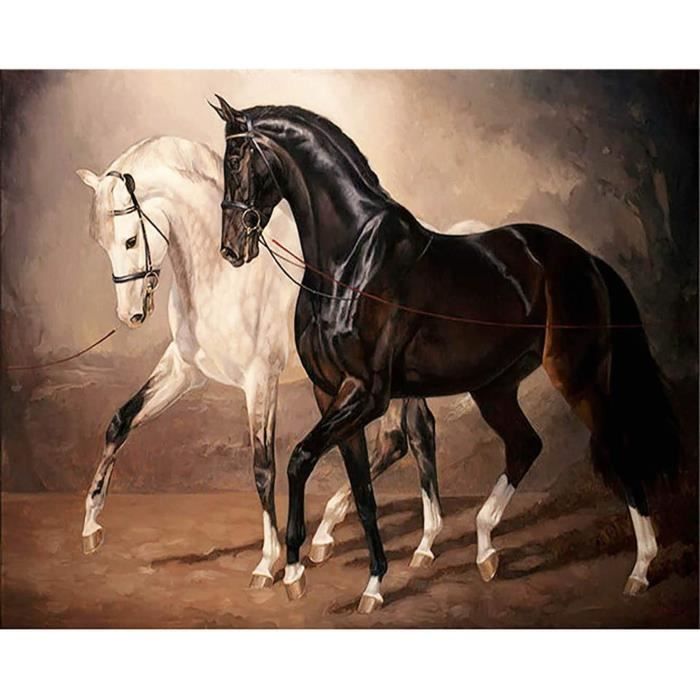 Peinture au Numero DIY Cheval Paint by Number Kit Peinture Par Numéros ...