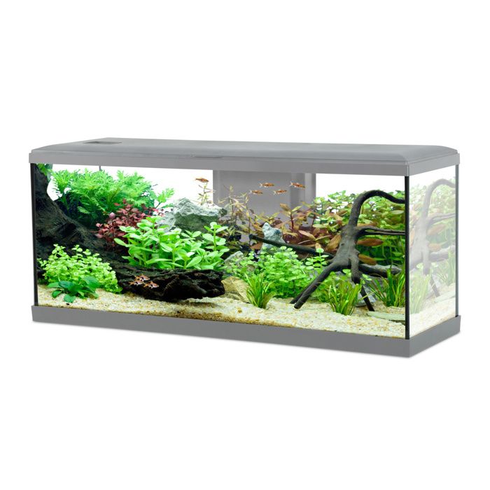 Aquarium poisson Tana LED 100cm gris - Zolux Gris - Cdiscount Animalerie