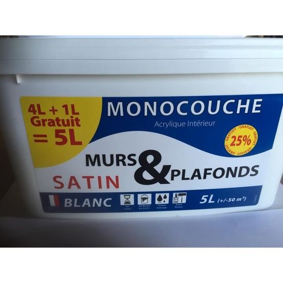 Peinture murs&plafond 5L. blanc satin monocouche - Cdiscount Bricolage