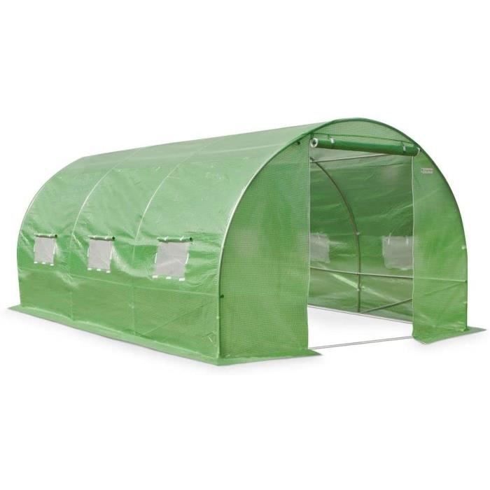 La Serre en Polyéthylène Serre Plante Maison Feuille Feuille Serre ...
