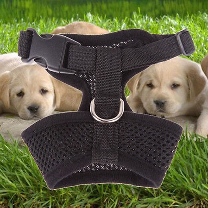 Harnais animal,Harnais de sécurité pour chien,gilet réglable,sangle de ...