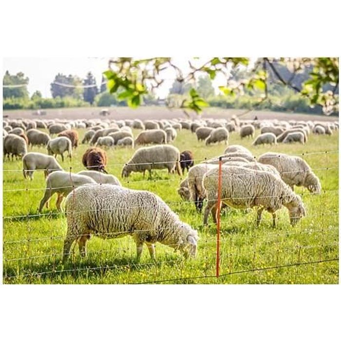 Filet cloture hauteur 105cm ELECTRIFIABLE Longueur 50m pour mouton ...