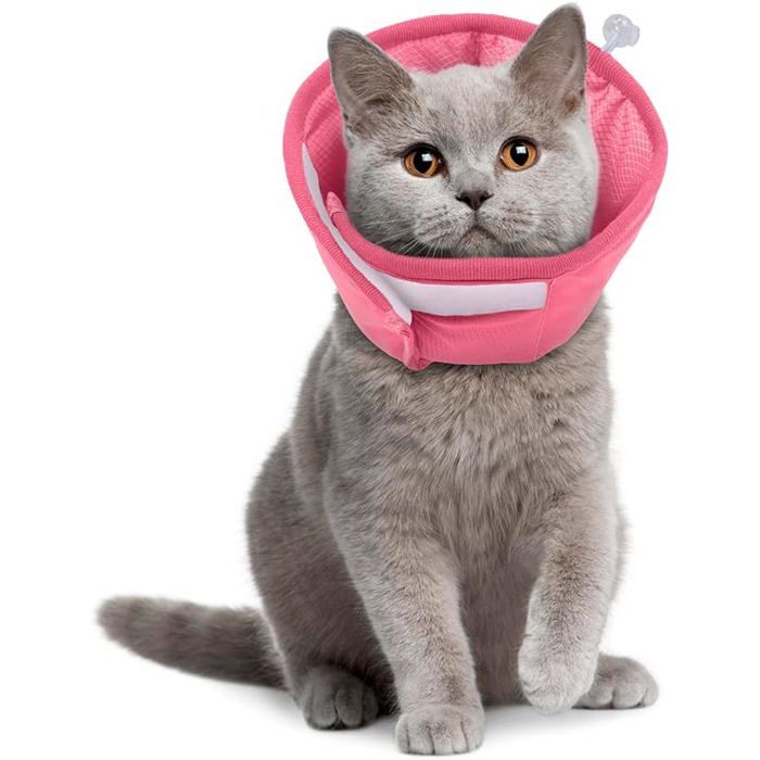 Collerette Chat, Collerette Chat Anti Léchage Anti Grattage, Collerette ...