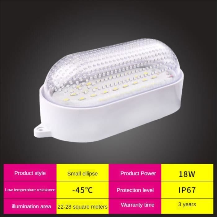 Émettre de la couleur Oval 18W Plafonnier extérieur Led, étanche IP67 ...