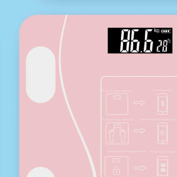 MSA Balance De Poids Corporel Chelle De Poids Corporel Maximum 396Lb ...