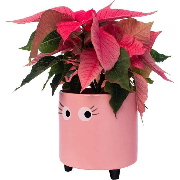 Pot de fleur original avec motif œil. Pots et jardinières décoratifs ...