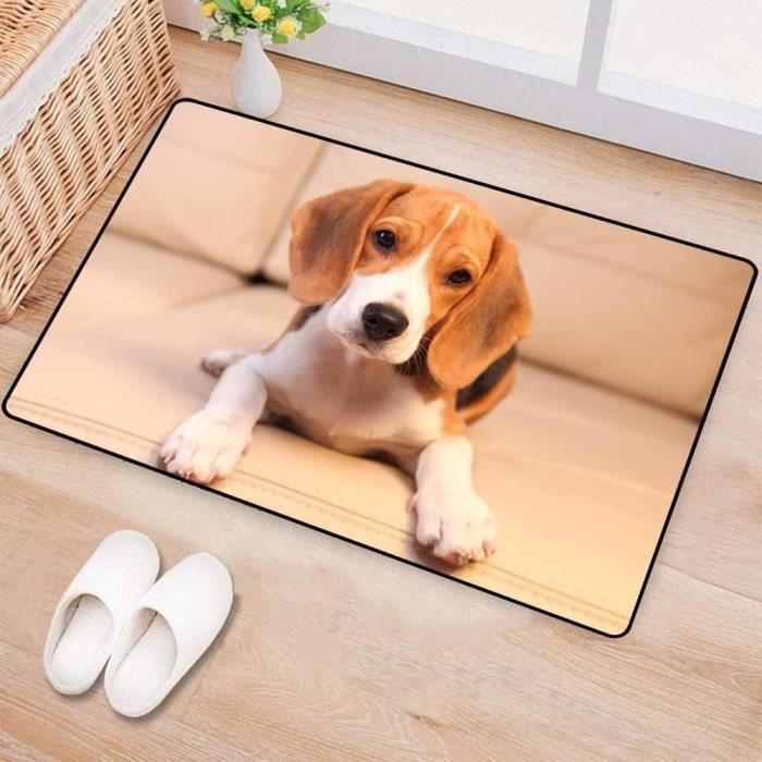 Tapis De Bain,Chiot Beagle Obéissant Mignon Animal Cuir Animal Chien ...