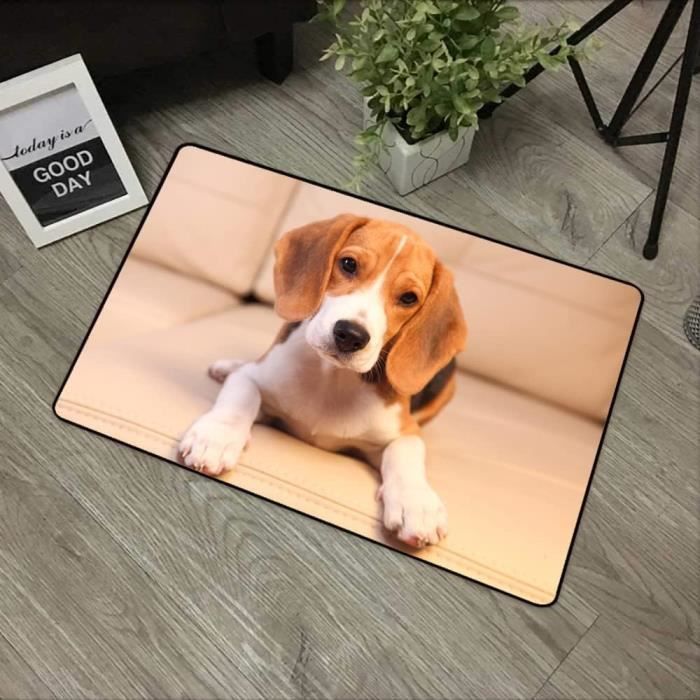 Tapis De Bain,Chiot Beagle Obéissant Mignon Animal Cuir Animal Chien ...