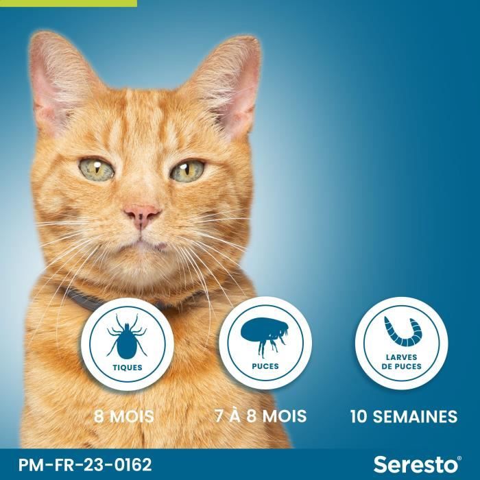 SERESTO Chat Collier Anti-Puces et Anti-Tiques - Protection 7à 8 mois ...
