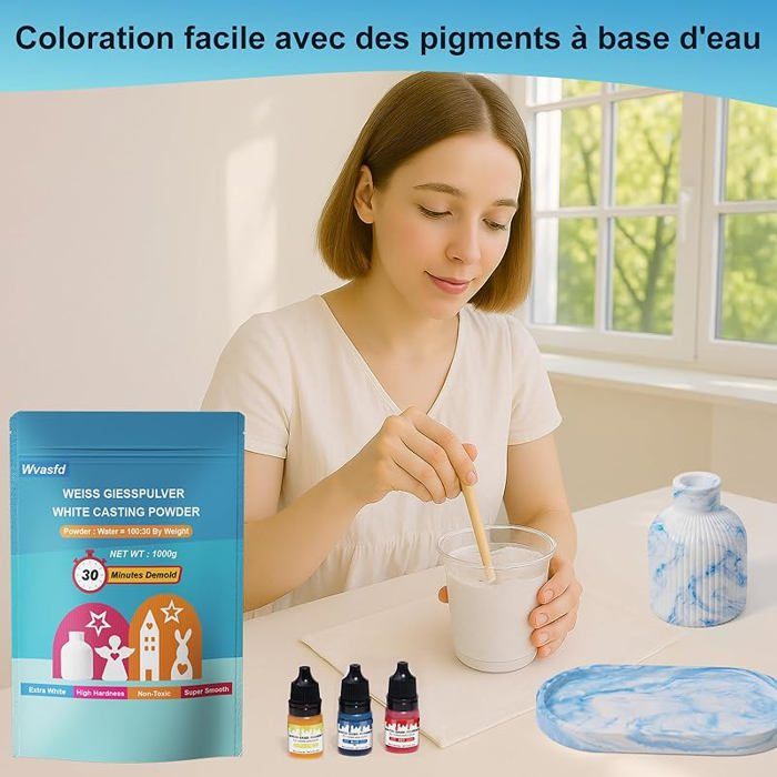 Kit Platre pour Moulage Complet, 1000g Poudre de moulage,3 Moules en ...