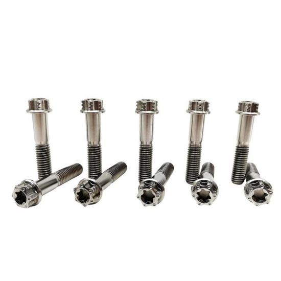Rison Lot De 5 Boulons En Titane M8 X 1,25 X 55 Mm Vis En Titane Torx Pour Motos À Tête ...