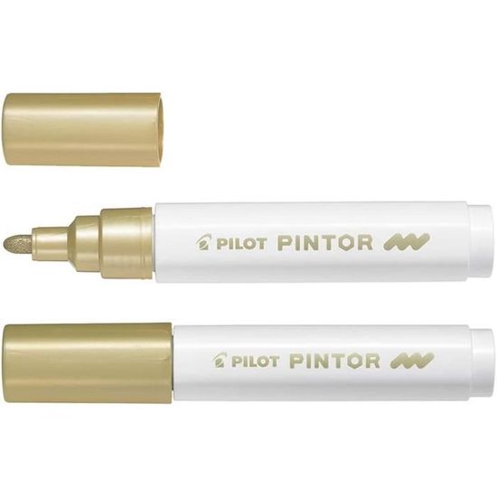 PILOT+Marqueur+%C2%85+pigment+PINTOR%2C+medium%2C+or400 - Cdiscount ...