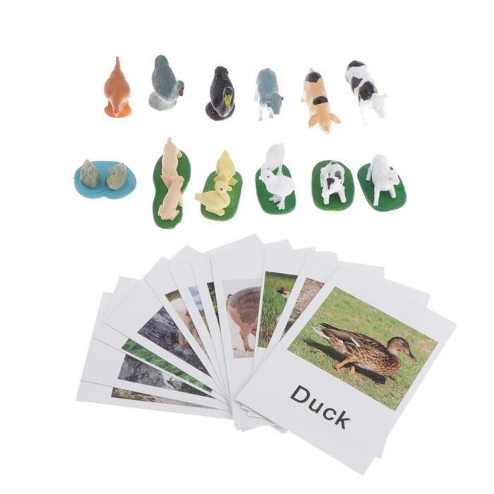 Éducation Animaux Jouet Animaux de La Ferme Groupe Modèle Carte Papier ...