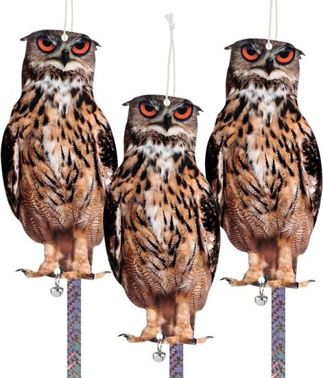Chouette 2. Lot de 3 repoussoirs anti-oiseaux, anti-pigeons, anti ...