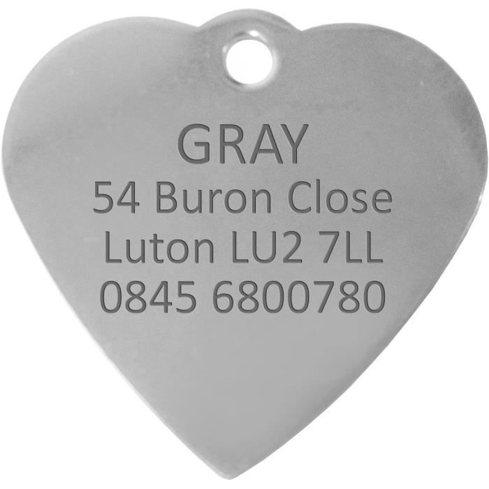 BWM Medaille Identification Personnalisée Animaux de Compagnie Chien ...