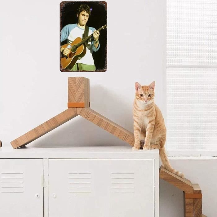 Poster rétro Singer John Mayer en métal - Art chic rétro - Décoration ...
