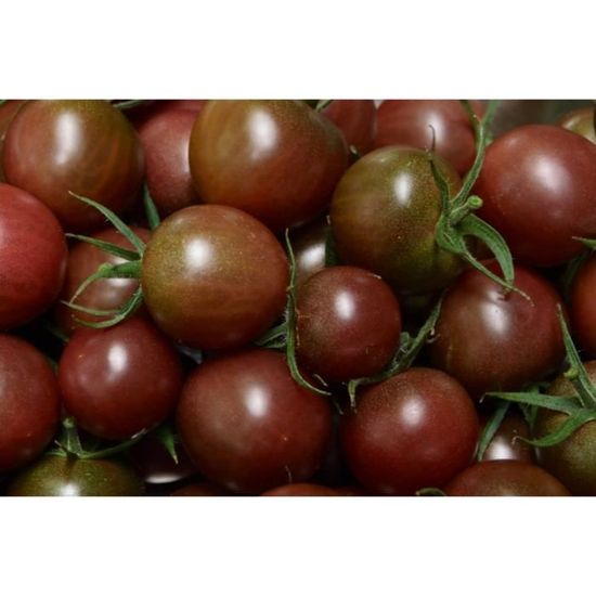 35 Graines de Tomate Cerise Black Cherry - légumes semis potager ...