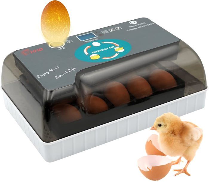 Couveuse Oeuf Automatique, 12 Couveuses Avec ContrôLe Intelligent et ...