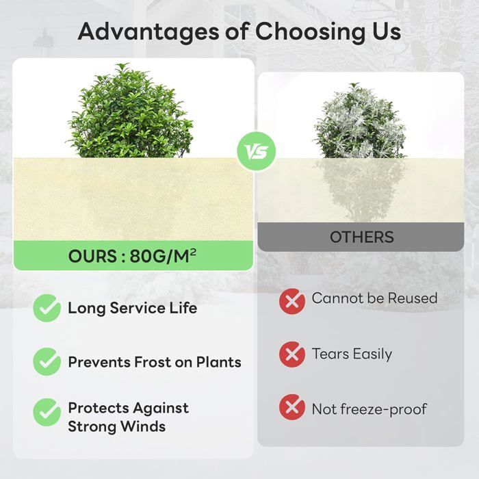 Voile D'hivernage 200 X 240 cm, Voile Hivernage Plante Exterieur 80 g ...