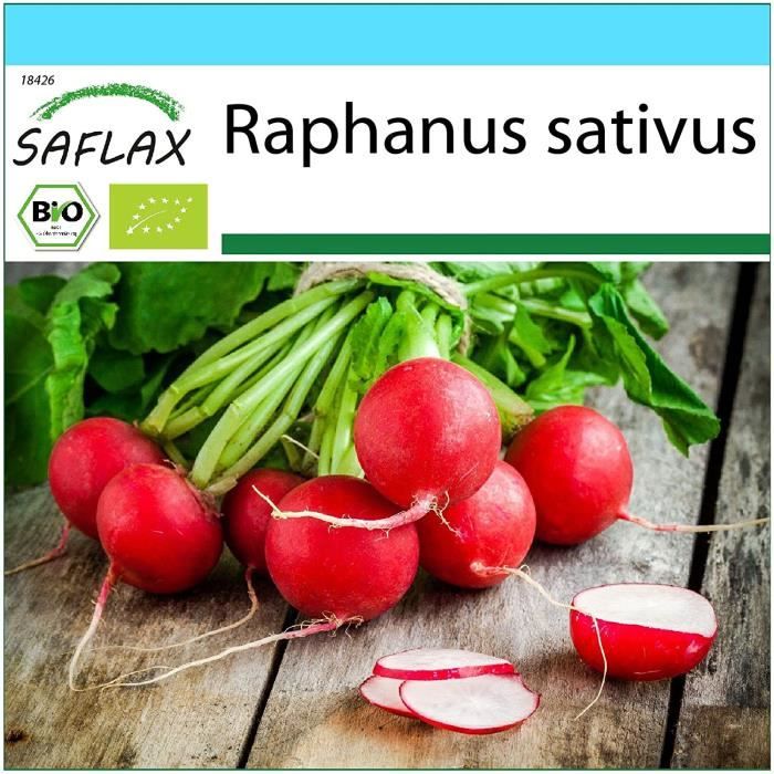 Kit cadeau - BIO - Radis - Cherry bell - 100 graines - Avec boîte ...