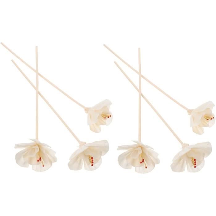 6 Pièces Bâton Décor À La Maison Diffuseur De Parfum Décor De Bureau ...