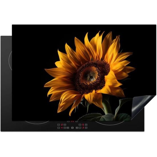 Ehskzjh © Protege Plaque Tapis Pour Induction 78X52 Cm Deco Cuisine ...