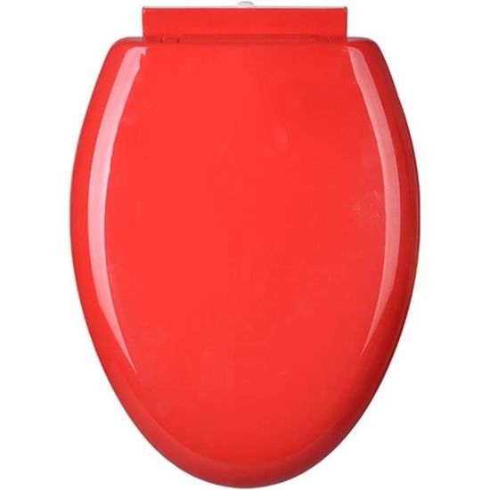 Abattant Wc Avec Frein De Chute (Ovale), Panneau De Couleur Pp Lunette ...