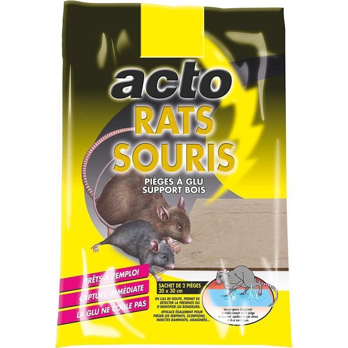 PIÈGES À GLU RATS – SOURIS SUPPORT BOIS Pour capturer les rats, les ...