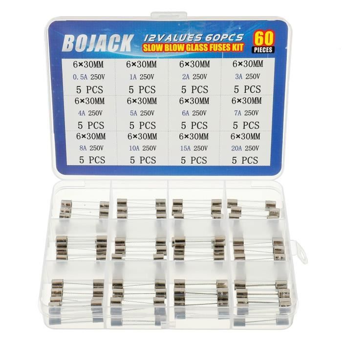 12 Valeurs 60 Pièces Kit d'assortiment de fusibles en verre à fusion lente 6x30 mm 250V T 0.5A ...