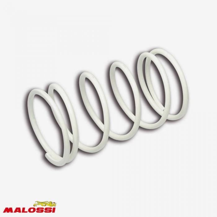 Ressort d embrayage Malossi pour Scooter Derbi 50 Paddock Lc 1997 à ...