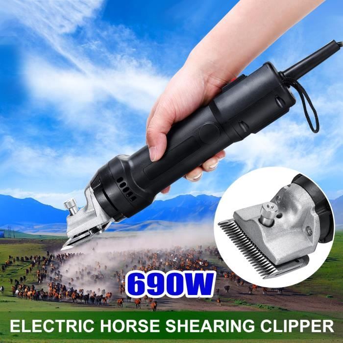 AVANC Tondeuse Cheval Électrique 690W Cheveux PRISE EU - Cdiscount
