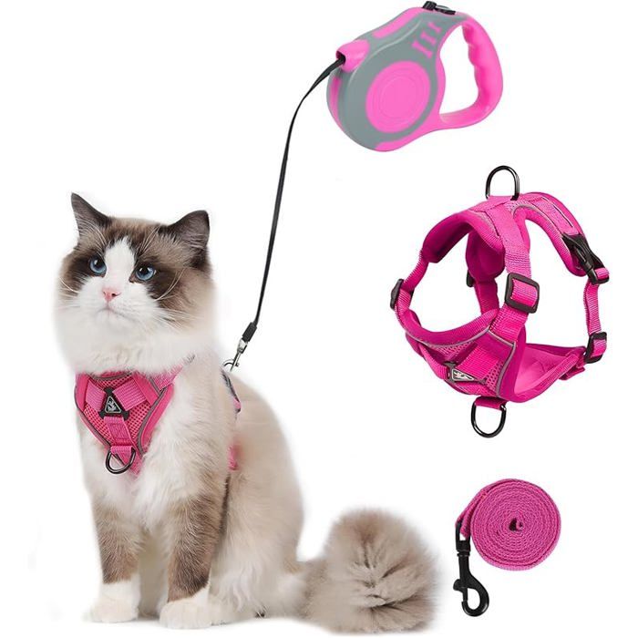 Harnais pour Chat avec Laisse Enrouleur,Anti éctement Harnais Chaton et ...