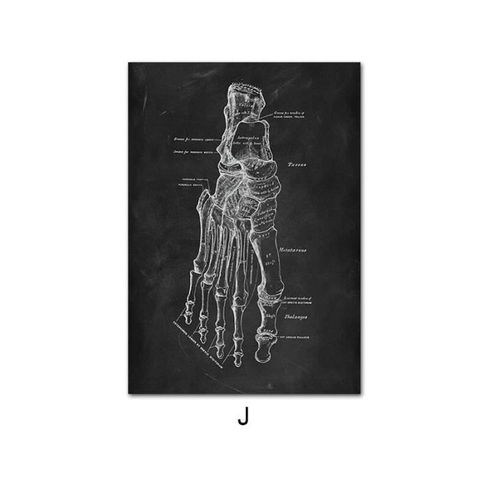 Tableau - Toile,Affiche murale d'anatomie humaine,tableau mural de ...