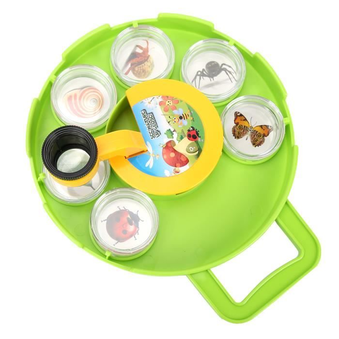 Boîte de Capture d'Insectes Loupe VINGVO - Observation Science en Plein ...