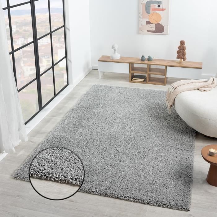 Prime Poils Longs Shaggy Tapis Gris Poils Longs Poil Long Tapis Modernes Pour Salon Chambre À ...