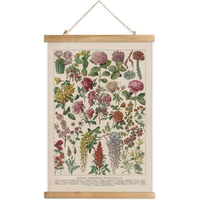Poster Botanique Des Fleurs Classiques - Affiche Vintage Avec Cadre En ...