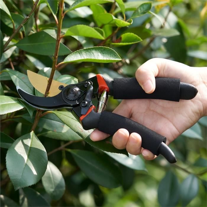 Professional Heavy Duty Sino Bypass Coupe - Branches, Coupe - Branches ...