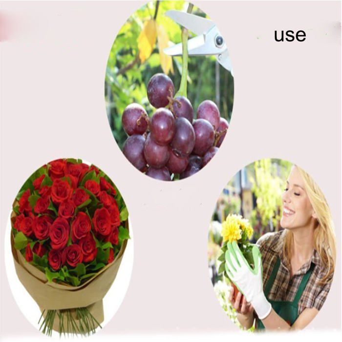 Fleur Branche Floral Art Ciseaux Fleuriste Jardinage Arrangement De ...