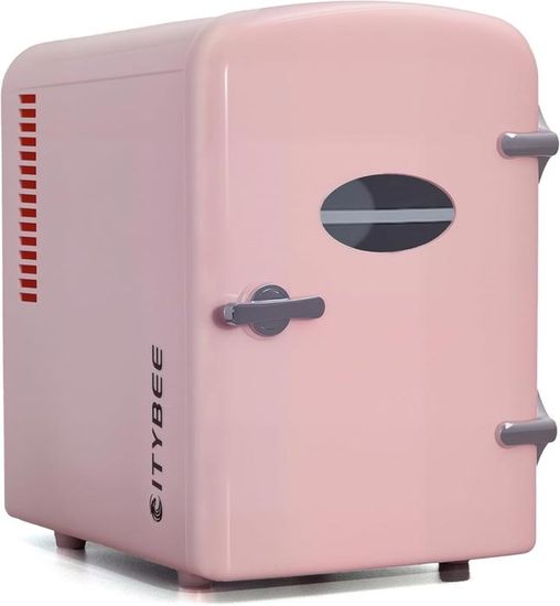 Nettlife Mini réfrigérateur 4L - Petits réfrigérateurs 12V 230V ...