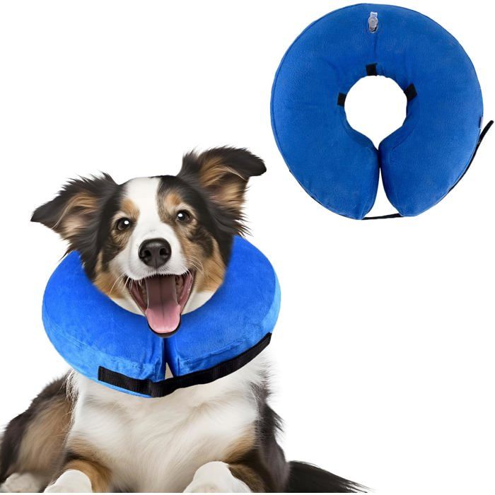 XIMEY Collerette Chien Gonflable, Colerette pour Chien Anti Lechage ...