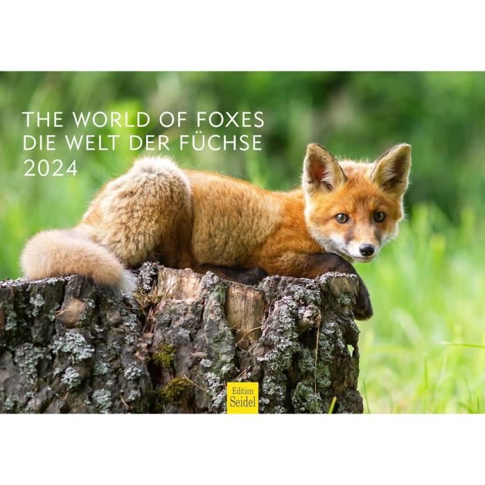 Calendrier Mural 2024 Le Monde Des Renards - Format A3 - Calendrier ...
