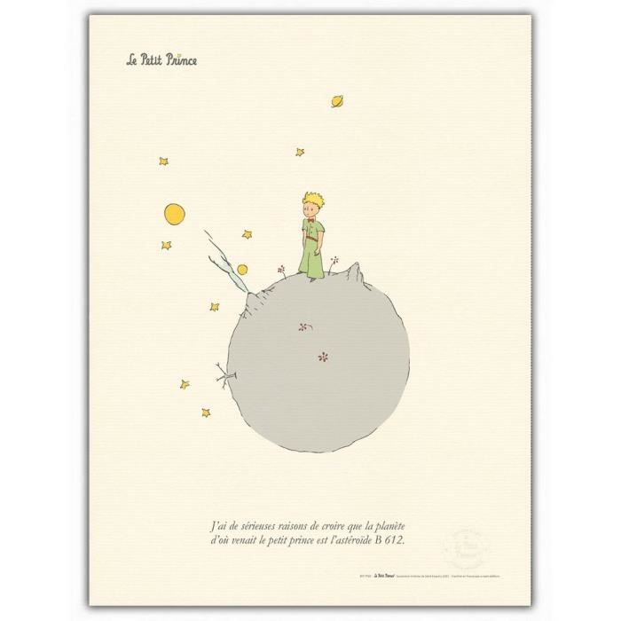Posters et affiches - Poster affiche d'art Oneart (Le Petit Prince sur ...