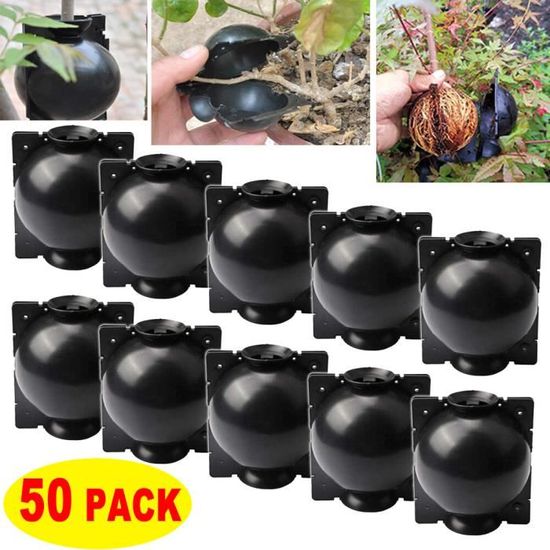 Jardiniere - bac a fleur,Boules d'enracinement de plantes réutilisables ...