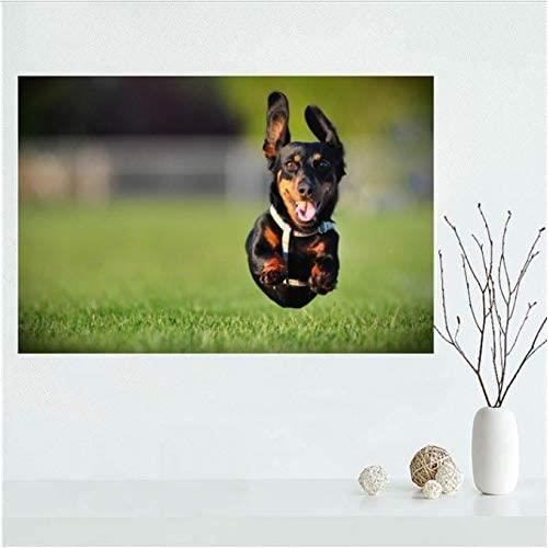 Tableau Teckel Toile Affiche pour Chambre - Multicolore - 40x60cm ...