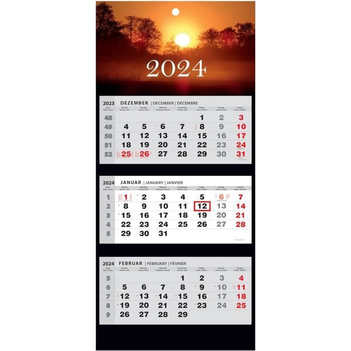 Calendrier Mural 2024 - Calendrier Mural De 3 Mois - Avec Indicateur Du ...