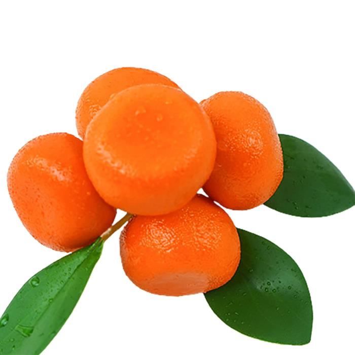 DECORS DE TABLE - PETITS OBJETS DECORATIFS Modèle Orange Props 1 Branch ...