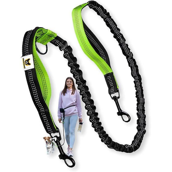 Longe Élastique pour Petits Chiens Jusquu2019à 15 kg Extension ou Pièce ...